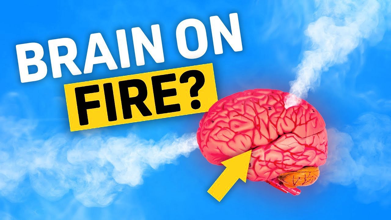 How sleep affects your brain and daily life | How sleep affects your brain - YouTube