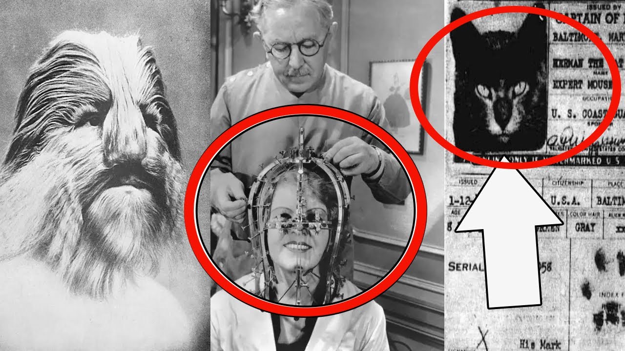 20 extremely rare and fascinating photos of people from history that ...