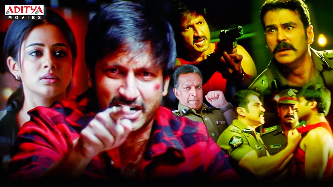 Golimaar Hindi Superhit Movie Scenes💥| Gopichand, Priyamani | Hindi ...