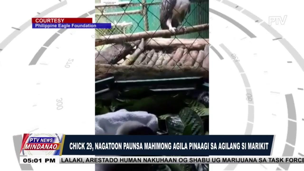 MGA NAG-UNANG BALITA SA PTV NEWS MINDANAO I FEBRUARY 1, 2022 - YouTube MGA NAG-UNANG BALITA SA PTV NEWS MINDANAO I FEBRUARY 1, 2022 - YouTube