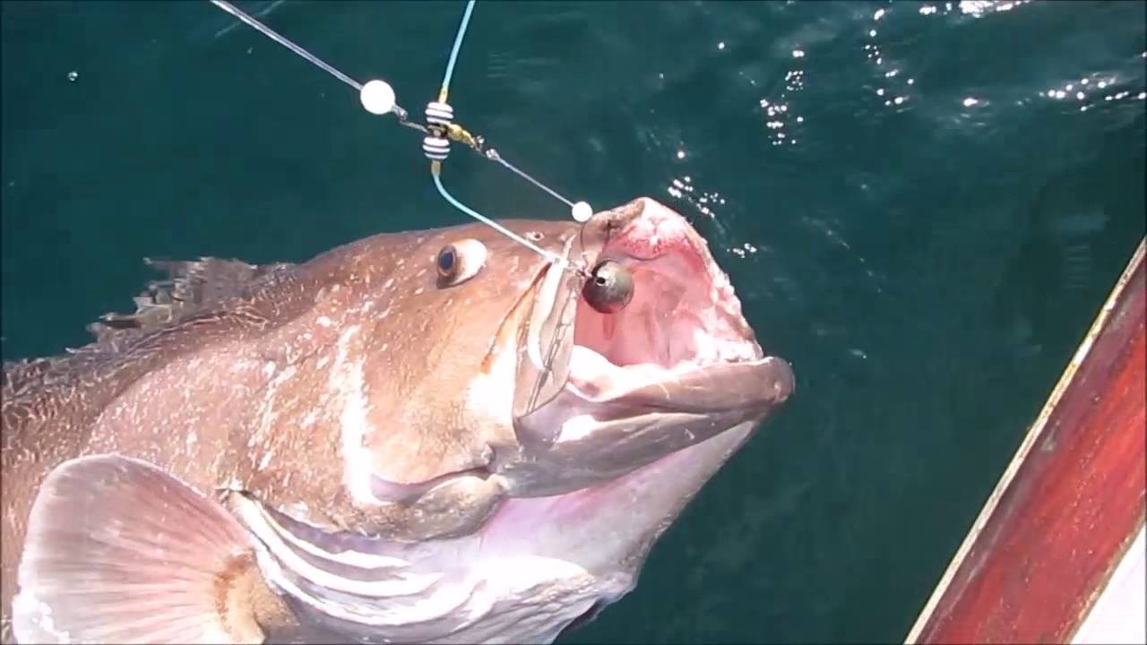 Super Cherne em Ilhabela - YouTube