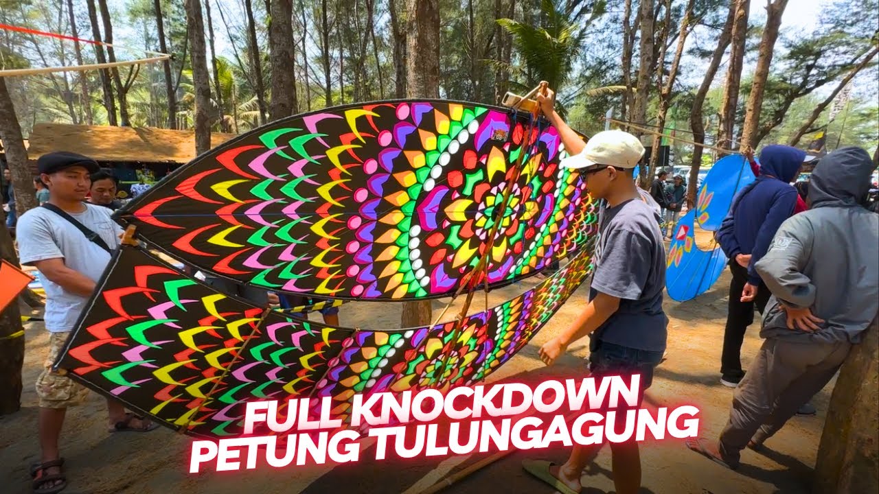 Layangan Pegon Ceper Tulungagung Full Knockdown - YouTube