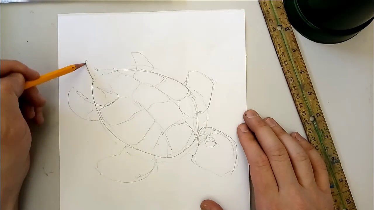 Cubist Animals - Drawing - YouTube