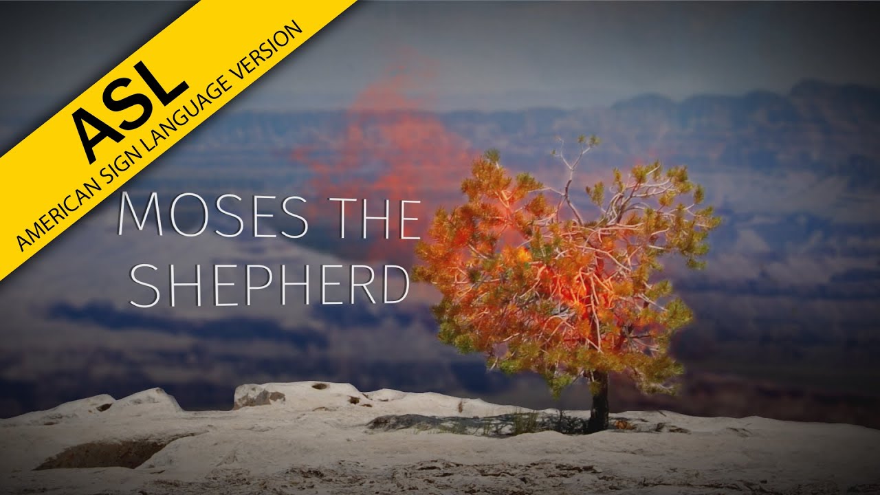 Part 2: Moses the Shepherd (in ASL) | The Story of Moses - YouTube