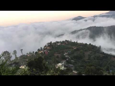 beautiful salyan