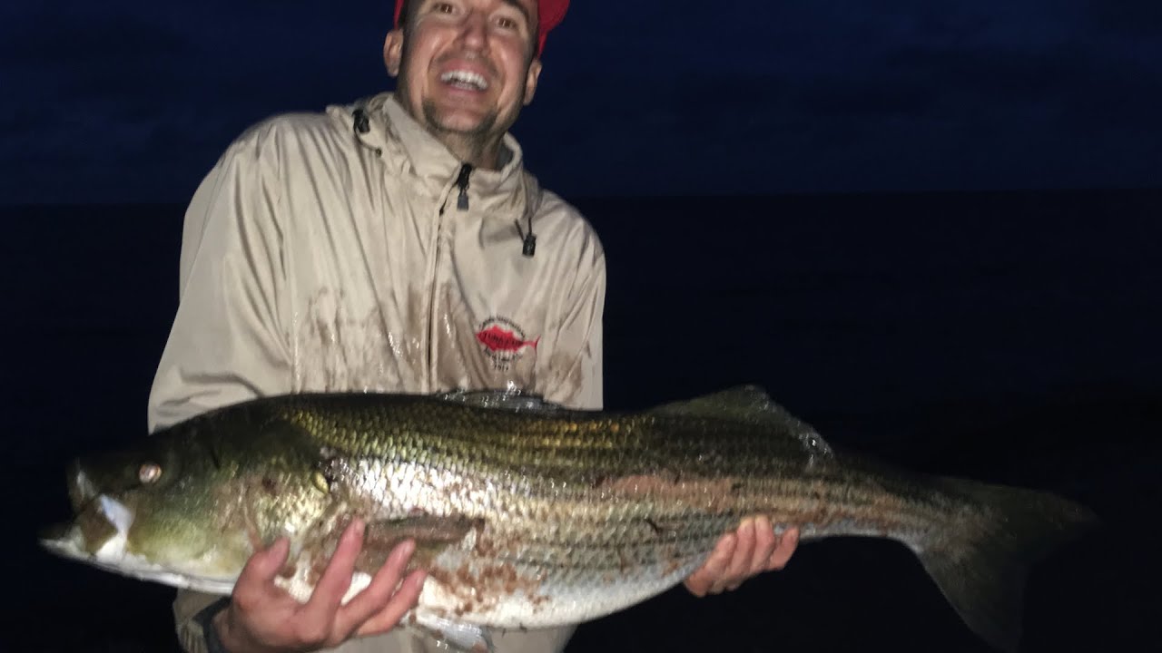 Massive Stripers In PEI (PEI Striper Series Part 1) - YouTube
