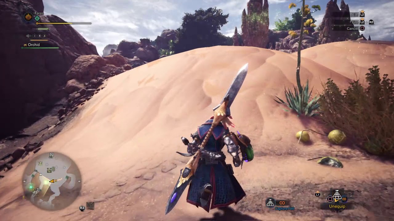 Monster Hunter World Iceborne: How to Find the Protectors - YouTube