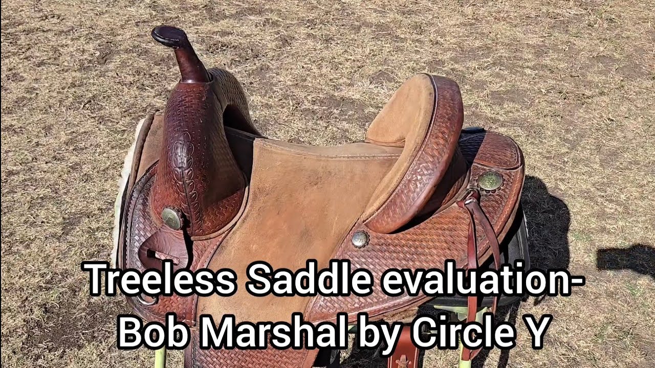 Treeless Saddle Evaluation of a Bob Marshall by Circle Y - Fitting a ...