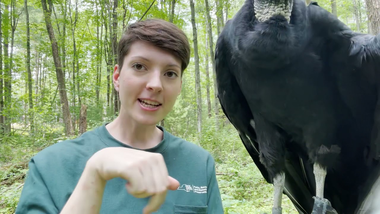 Meat falling from the sky “Oh My” - YouTube