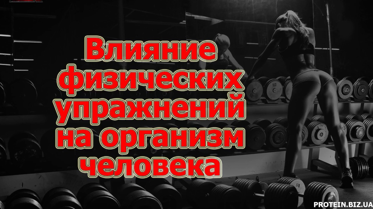 Влияние физических упражнений на организм человека Youtube