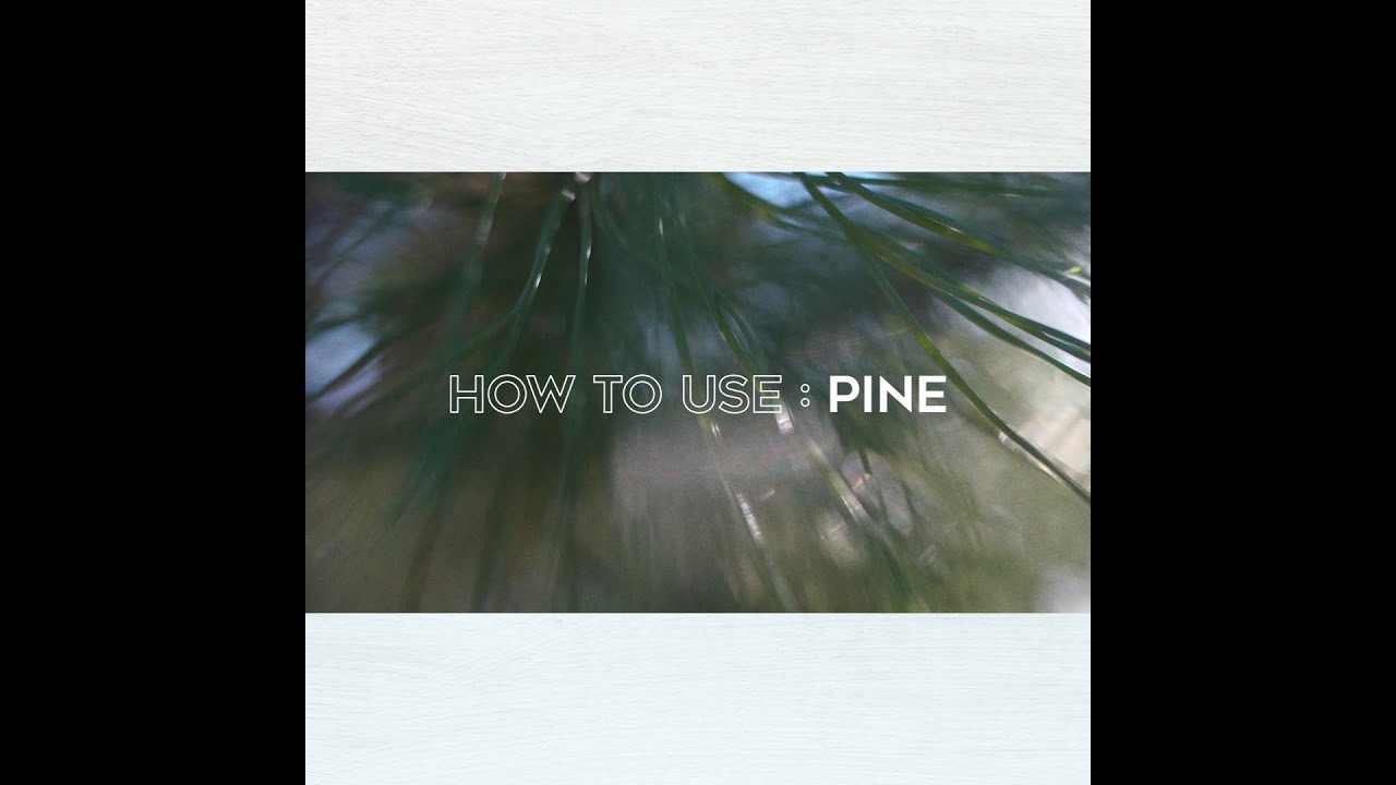 HOW TO USE : PINE - YouTube