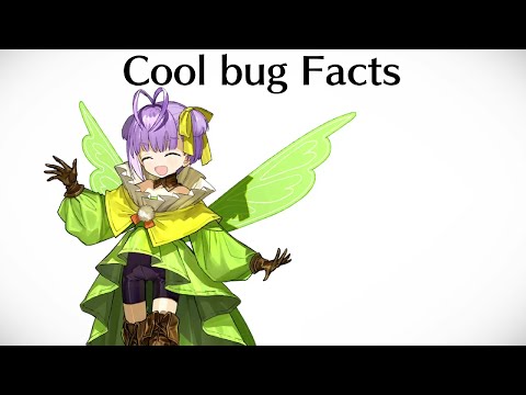 COOL BUG FACTS - Kazuradrop (FGO)