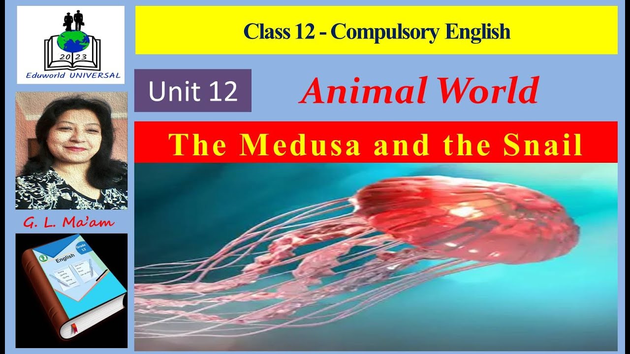 The Medusa and The Snail 🐙🐌 - YouTube