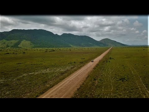 Driving through the Rupununi Savannah surrounded by wildlife (Road to ...