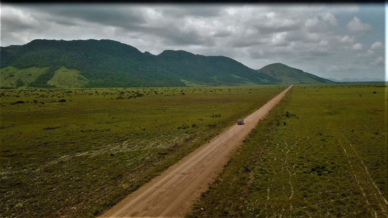 Driving through the Rupununi Savannah surrounded by wildlife (Road to ...
