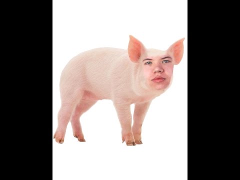 JW wants to go to faze - YouTube