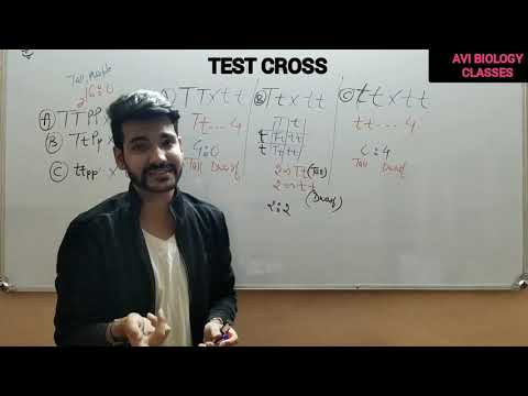 TEST CROSS ( Part - 2 ) - YouTube