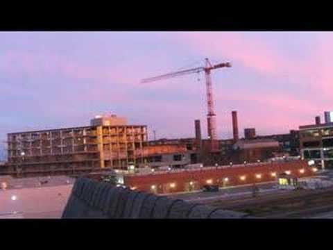 Pink Sunset