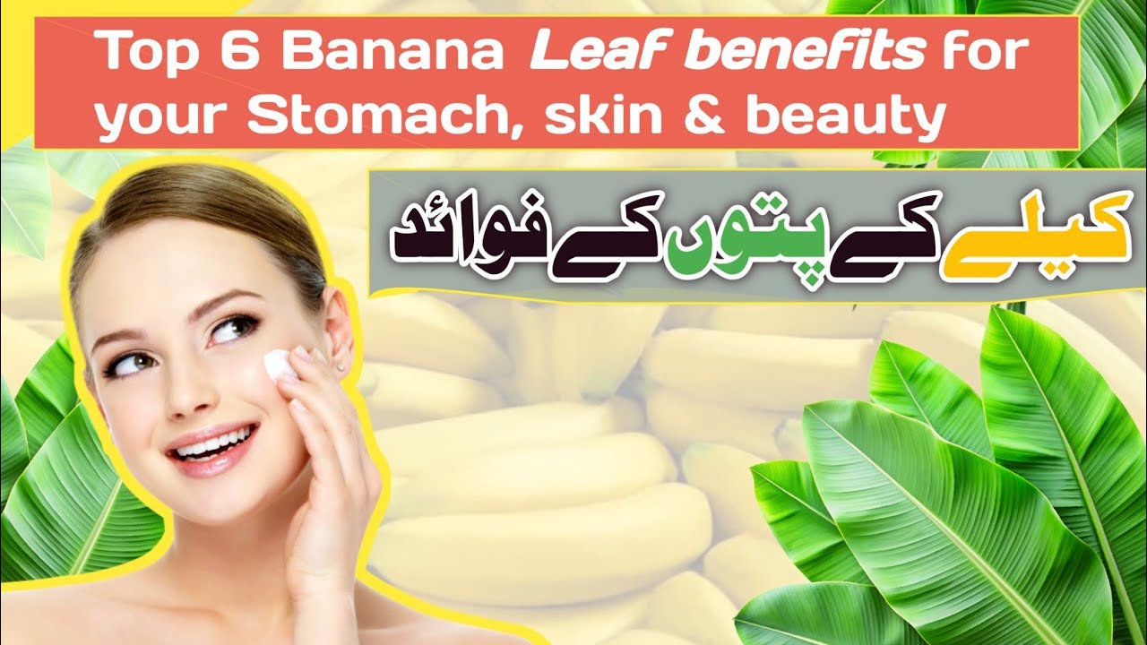Top 6 Banana Leaf benefits for your Stomach,skin and immunity&Beauty ...