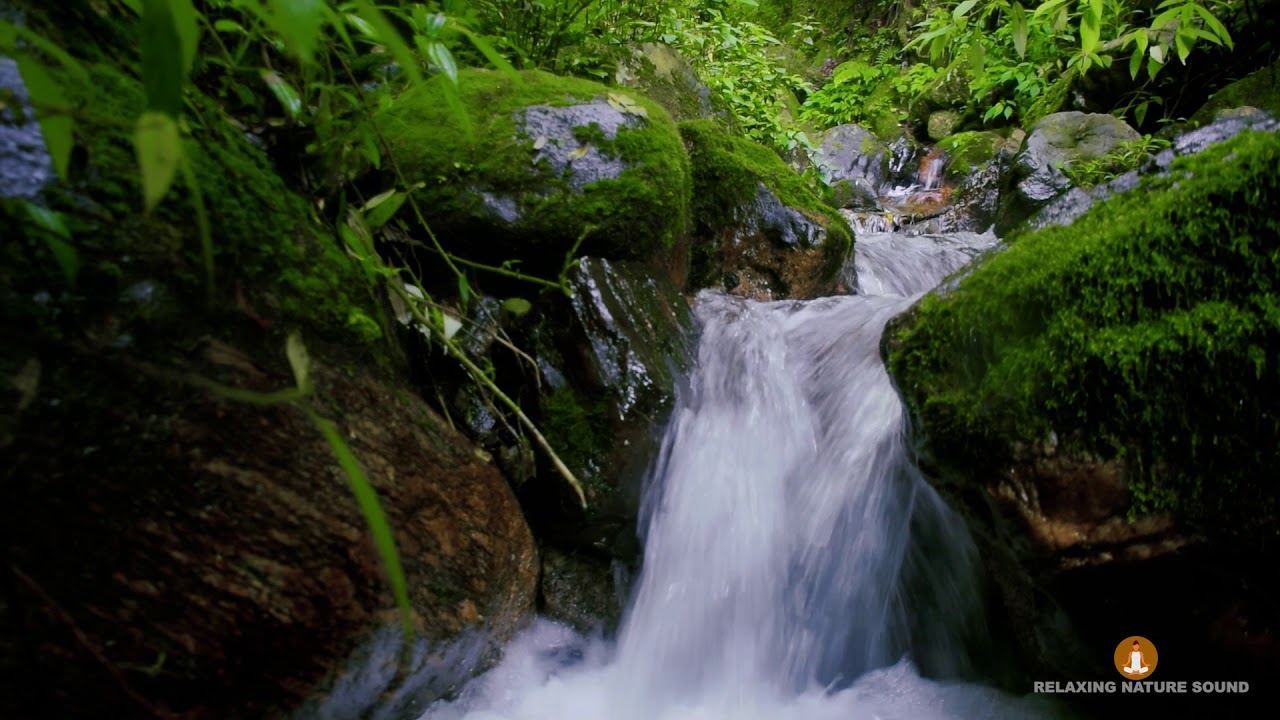 Relaxation Soft Running Water Sound | Sleep, Study, Focus with Relaxing ...