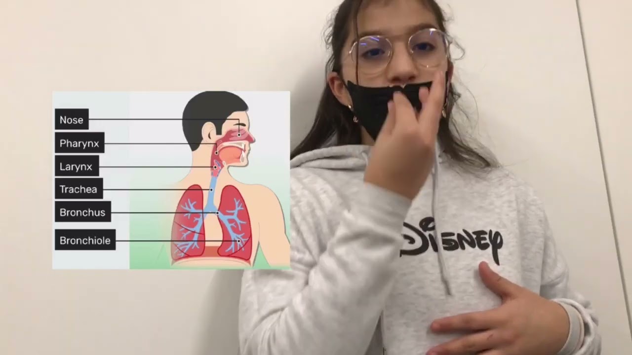 Human body documentary 10 dic 2021 15 50 1 - YouTube