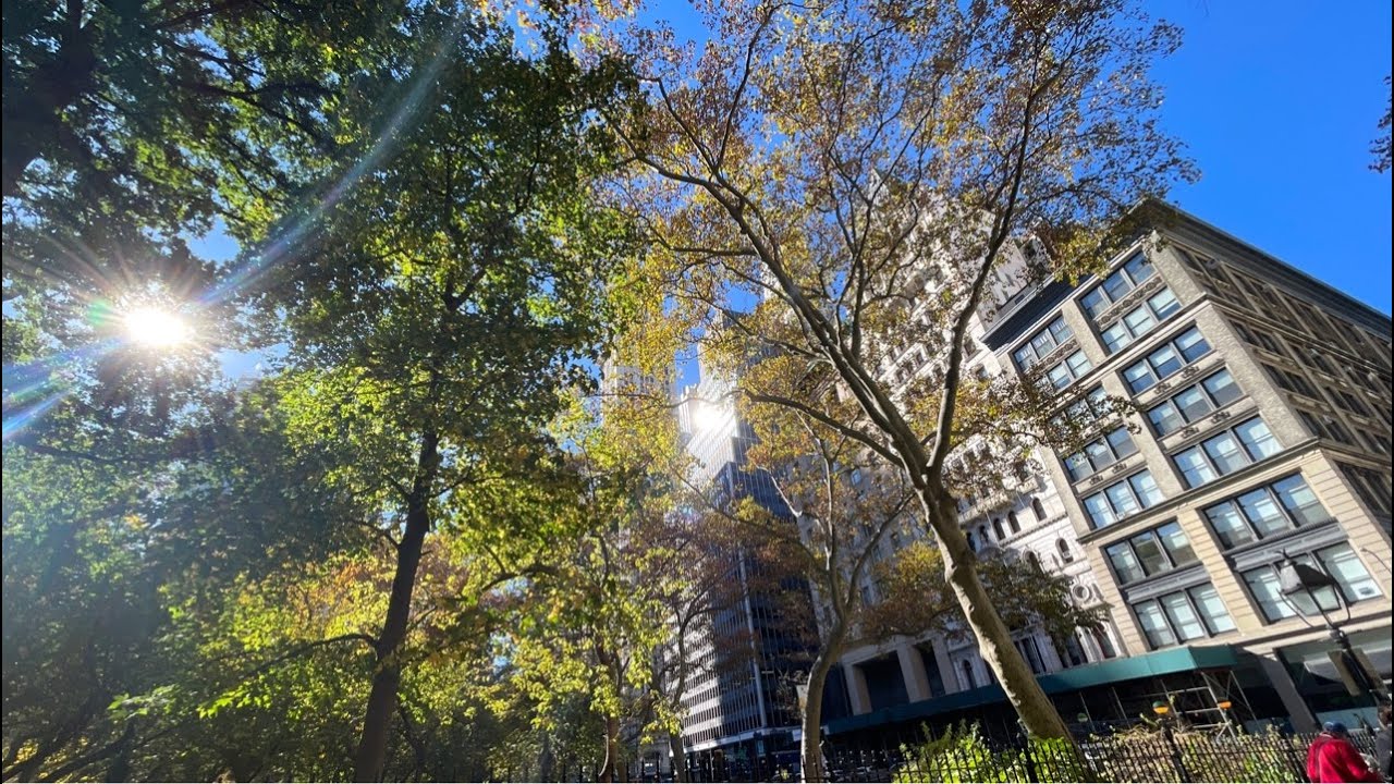 🔴 NYC Live: Exploring Manhattan 11/2/24 - YouTube