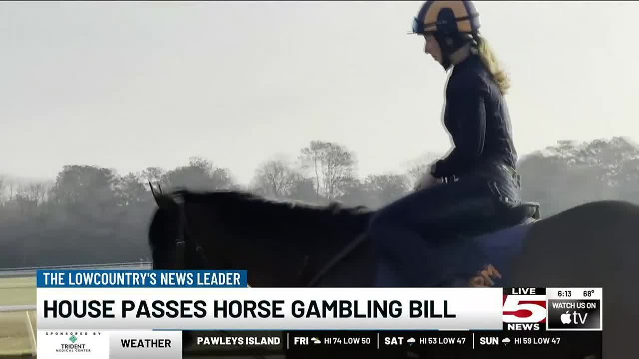 VIDEO: Horse gambling beats long odds; passes South Carolina House ...