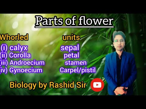 Introduction of flower. by Rashid Sir . subscribe for more content. # ...