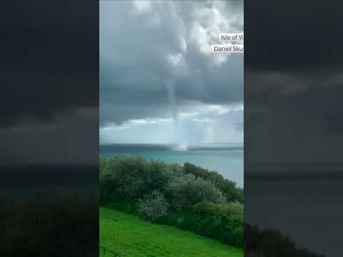 Rare watersprout spotted off English coast