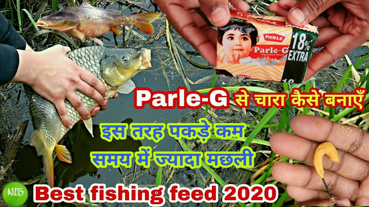 Rohu grass machhli ka chara ghar per kaise bnayen - YouTube