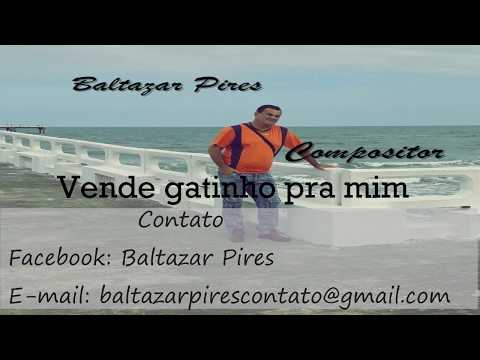 Vende gatinho pra mim - Baltazar Pires