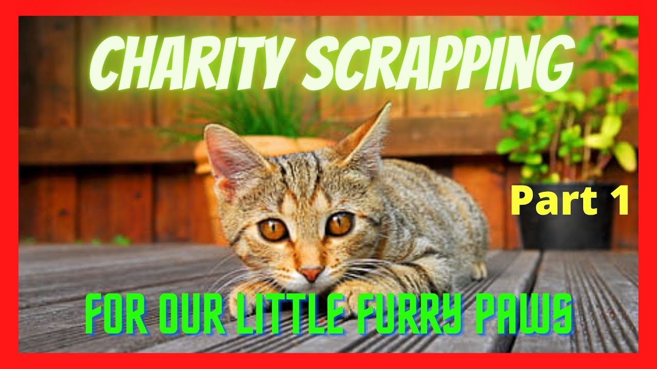 Charity Scrapping for Furry Paws Part 1 ( 42 ) - YouTube