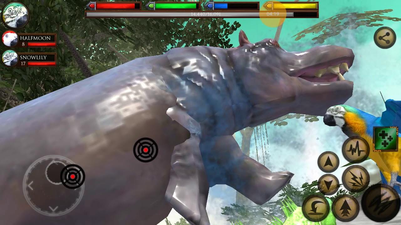 Ultimate parrot sim Ultimate jungle sim🦃🐔🐓🐣🐤🐥🐦🐧🕊️🦅🦆🦉 - YouTube