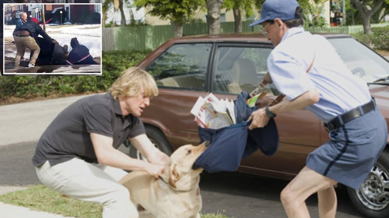 Perros Vs Carteros| dogs vs mailman #dogs #perrosgraciosos #animallover ...