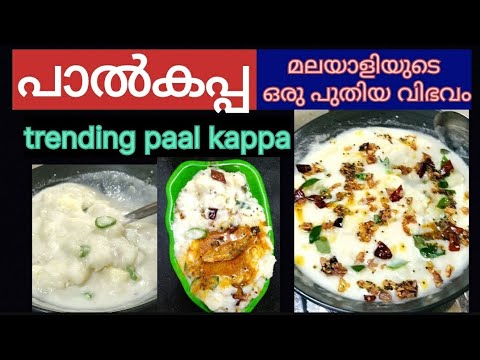 അടിപൊളിയായ "പാൽകപ്പയും" മീൻകറിയും.. trending food in kerala.perfect ...
