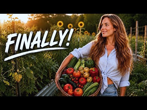 RIESIGE Sommerernte & kompletter Gartenrundgang! 🍅🌻