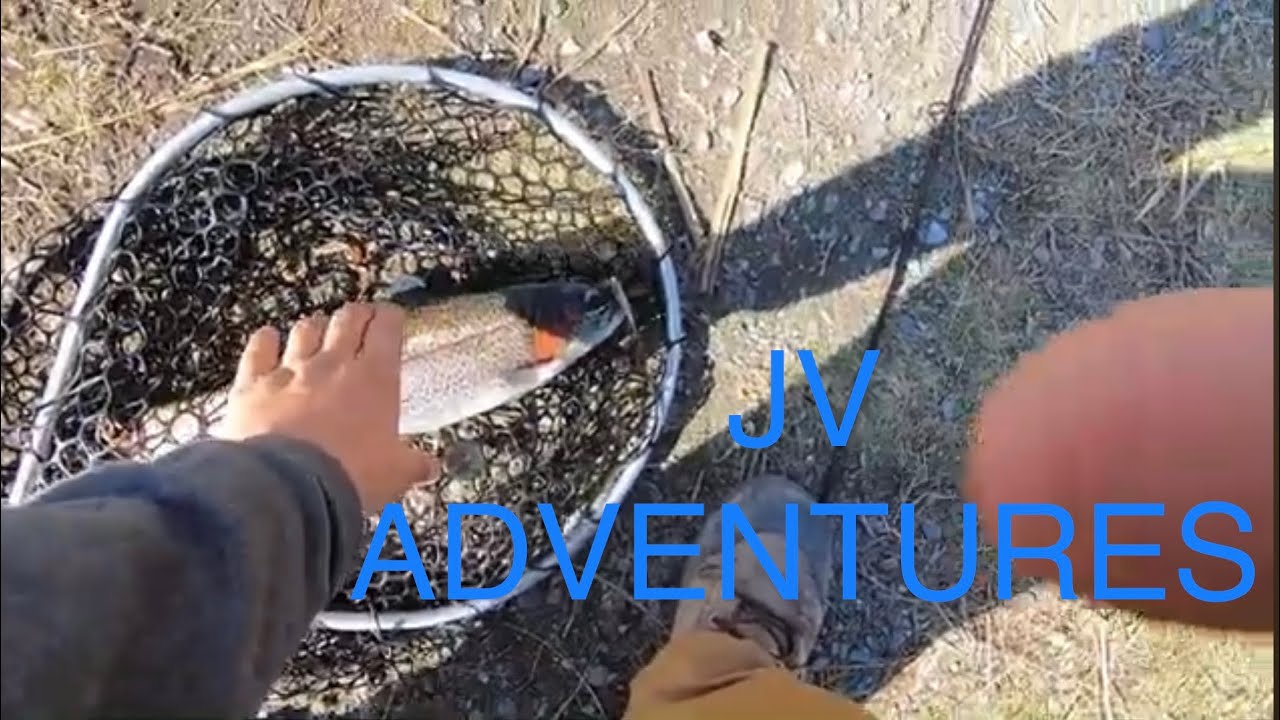 Lake Camanche Trout Fishing South Shore Pond - YouTube
