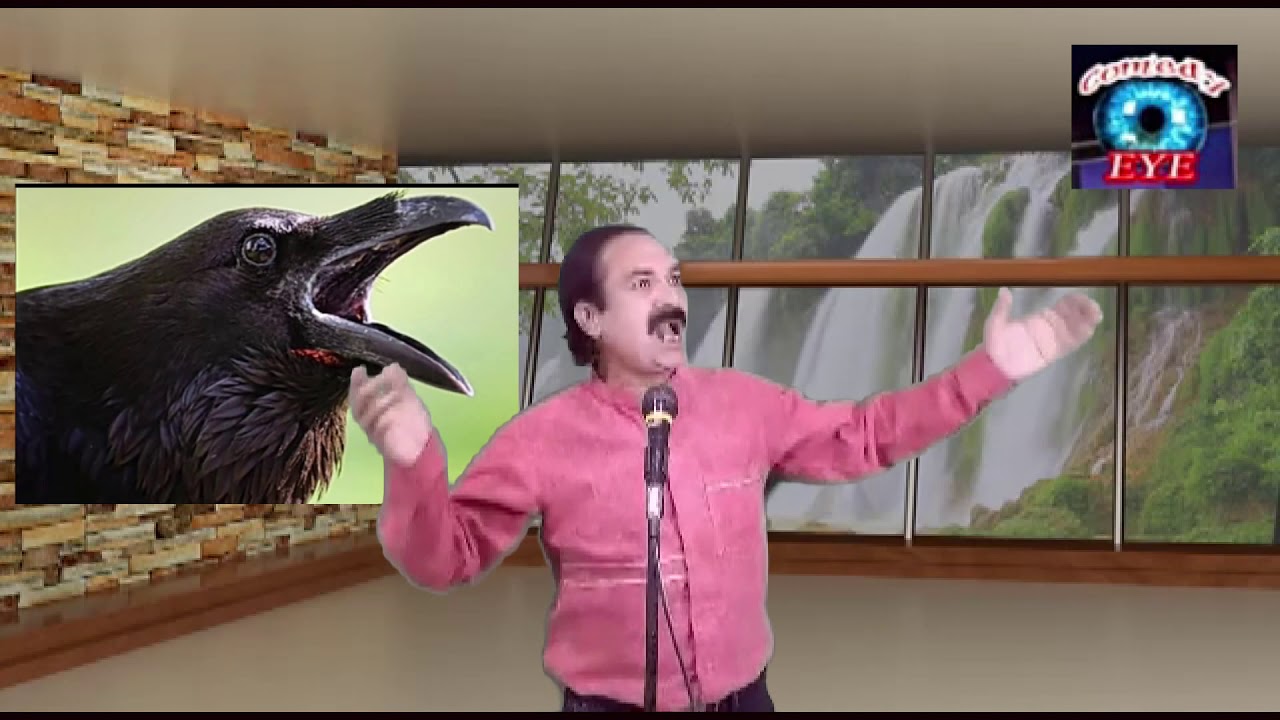 COMEDY VOICE EYE AMAZING BIRDS & ANIMALS VOICE 2019 - YouTube