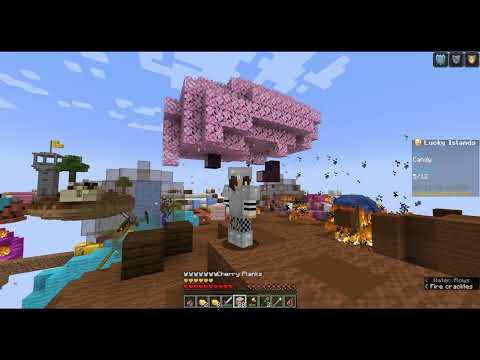 CubeCraft Java Screenshots - December 3, 2023 and December 5, 2023 ...