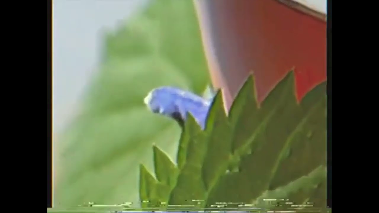 Screaming blue thing jumpscares - YouTube