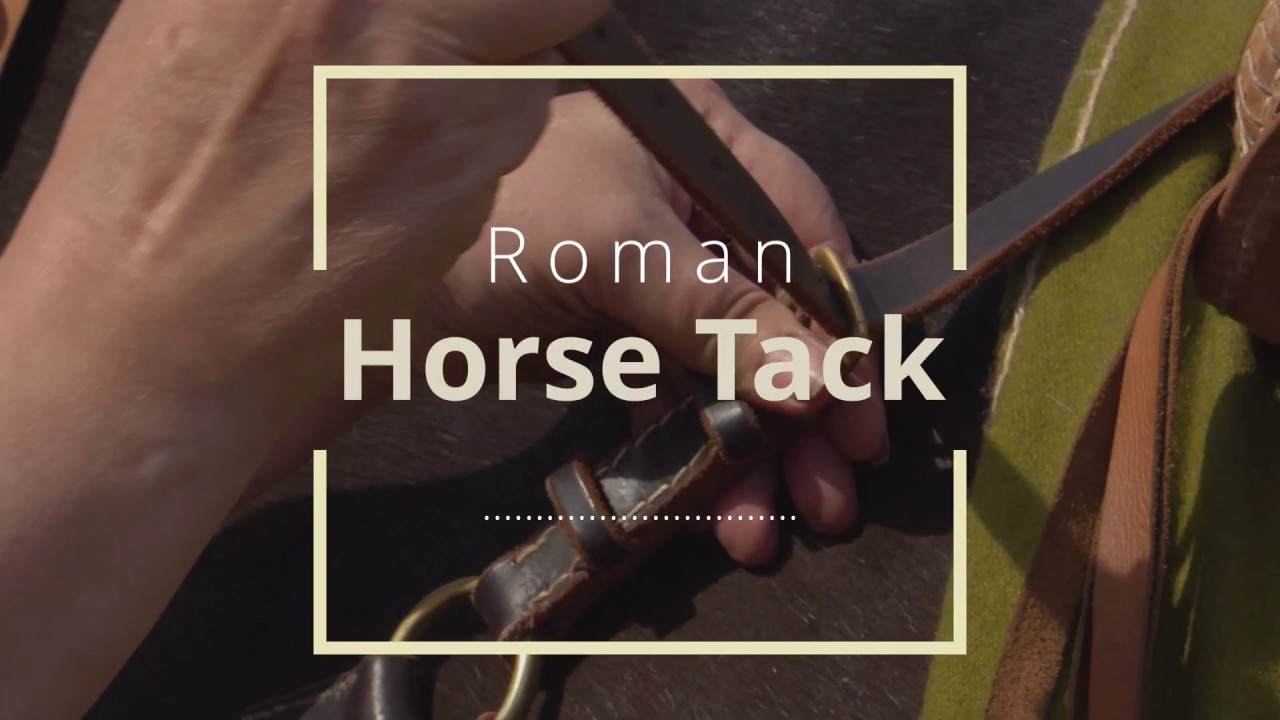 Roman Horse Tack Training Informational Short - ARC - YouTube