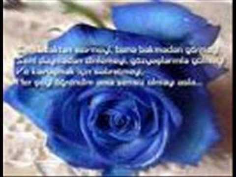 ŞErEfsiz SevgiLim