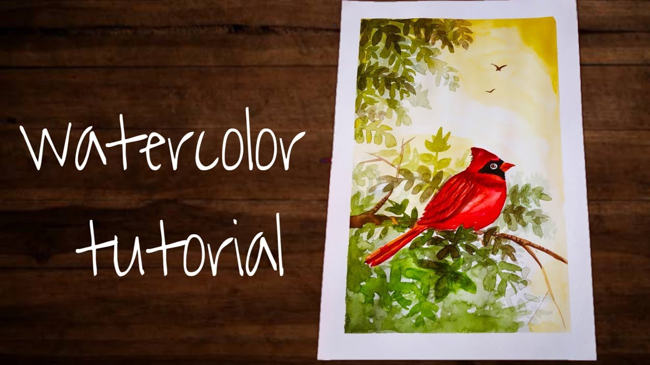 how to draw a cardinal easy step by step watercolor painting 💥 - YouTube