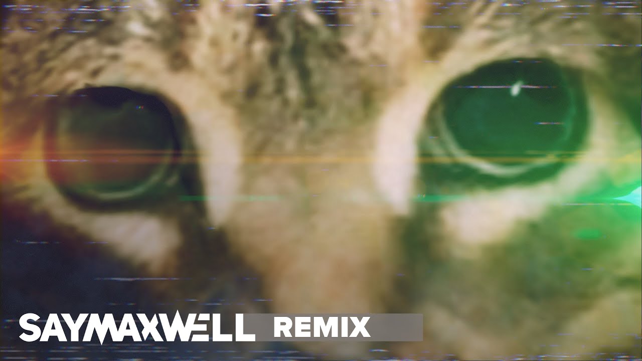 SayMaxWell - OIIA OIIA (Remix) - YouTube