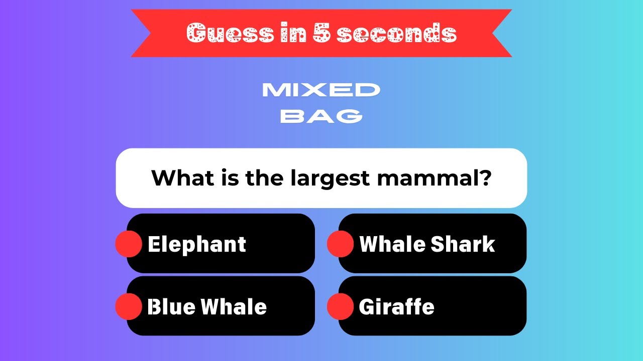 25 Random Trivia Questions – Ultimate Knowledge Quiz - YouTube