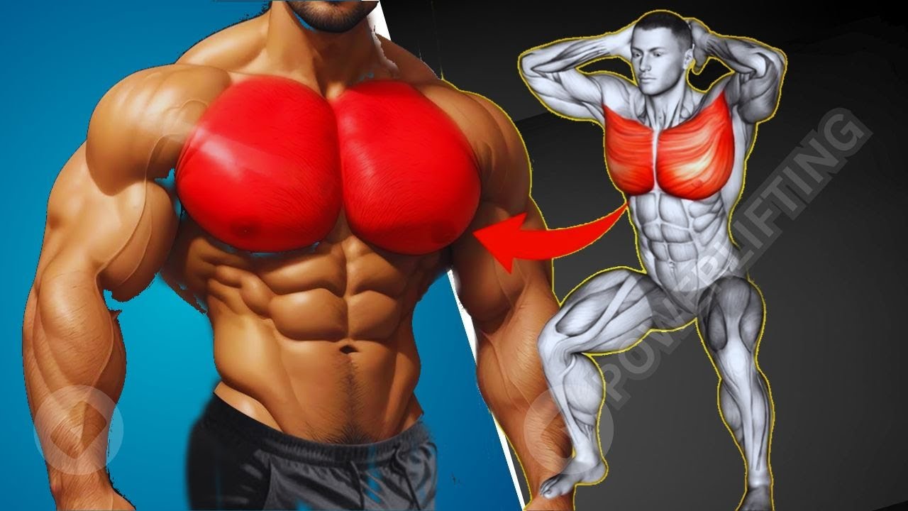 6 Amazing Exercise To Activate Big Chest Fast - Chest Workout at Gym ...