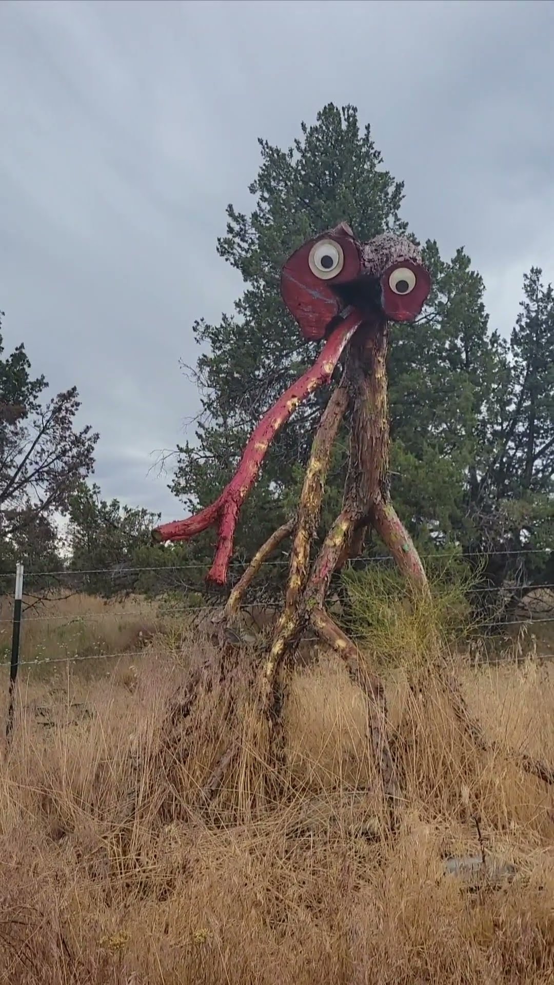 Guess what I see! - YouTube