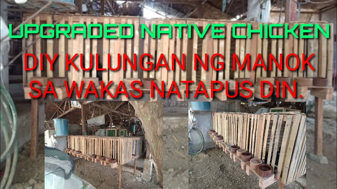 DIY KULUNGAN NG MANOK | DIY CHICKEN CAGE | Dhong Alms tv - YouTube