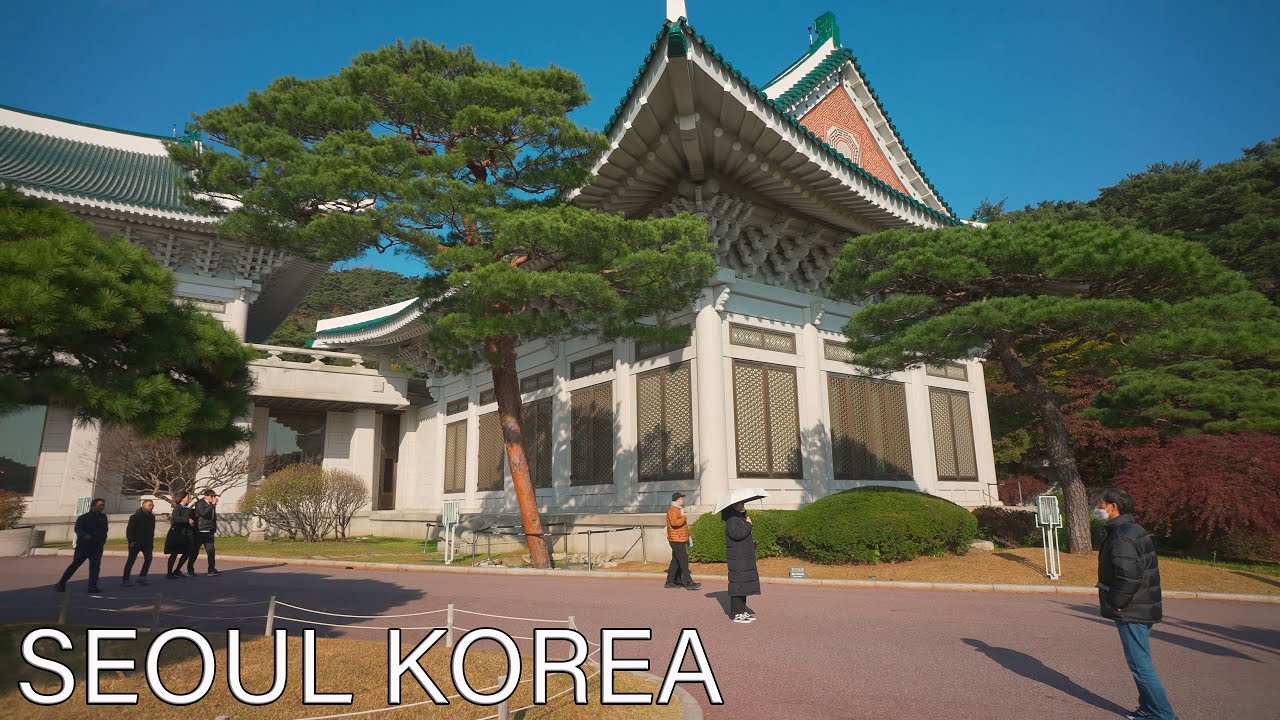 가을에 청와대를 많이 찾는이유 산책하기 좋은 멋진 숲길을 함께 걸어봐요 [4K] South Korea's Blue House ...
