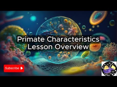 Primate Characteristics - Lesson Overview Key Concepts Discussion Study ...